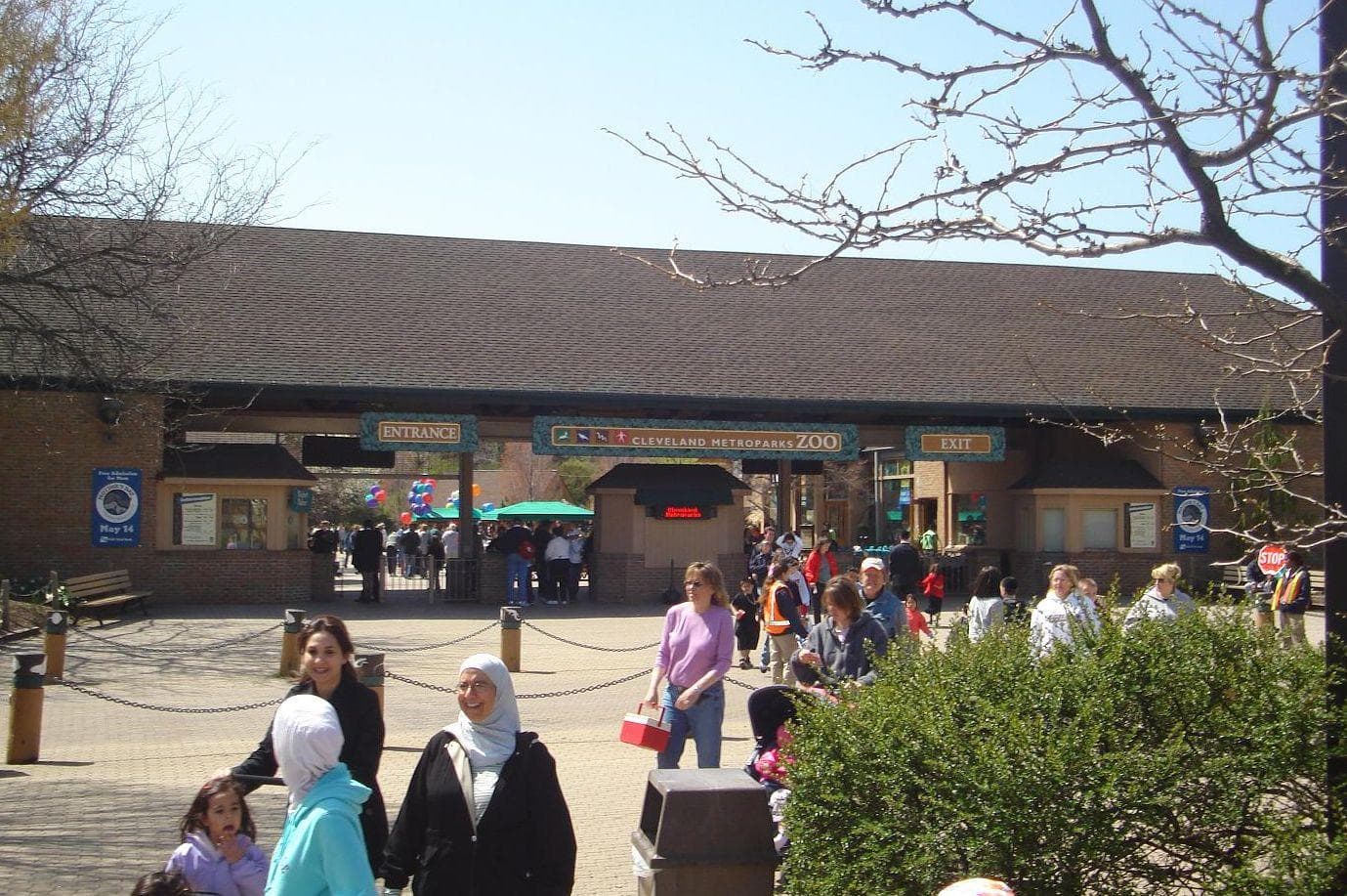 The True Story Behind 'Balto' Is Even Crazier Than The Beloved Cartoon