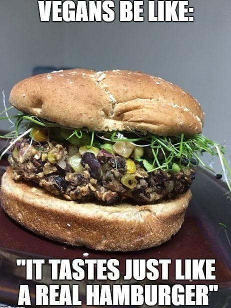 25 Memes About Vegans That Will Crack You Up