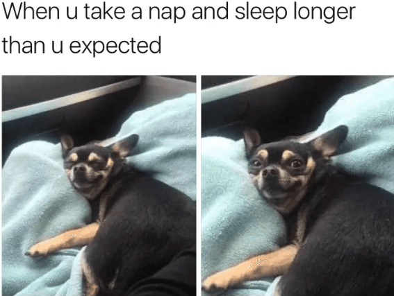 22 Sleep Memes That Will Make You Laugh Every Time