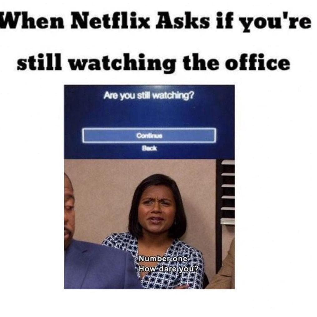 23 Hilarious When Netflix Asks If You're Still Watching Memes