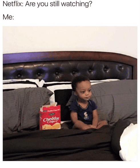 23 Hilarious When Netflix Asks If You're Still Watching Memes