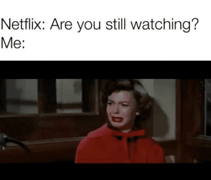 23 Hilarious When Netflix Asks If You're Still Watching Memes