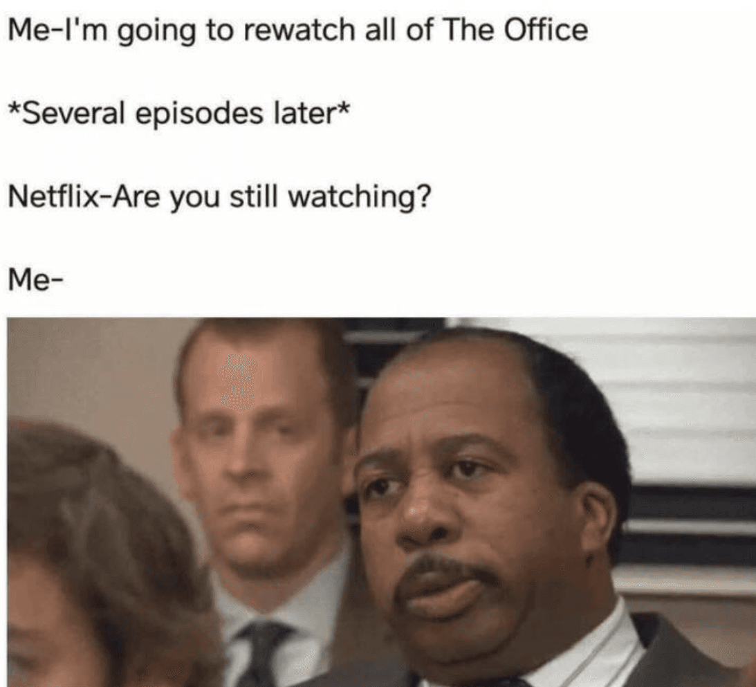 23 Hilarious When Netflix Asks If You're Still Watching Memes