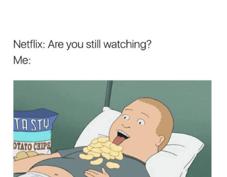 23 Hilarious When Netflix Asks If You're Still Watching Memes