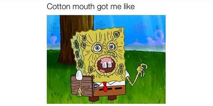 20 Memes About Getting High That Are Funny Even When You Aren't Stoned