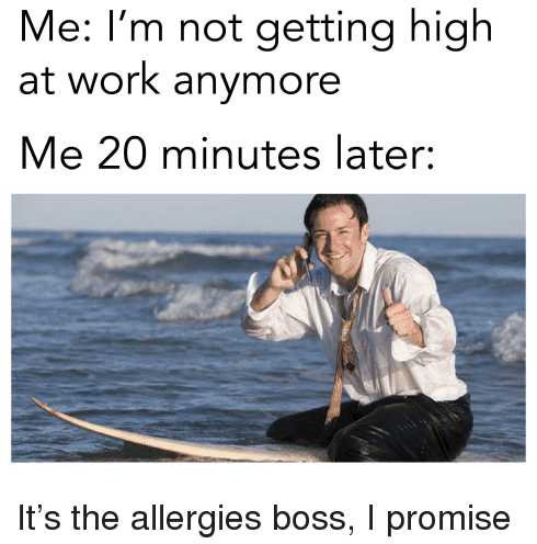 20 Memes About Getting High That Are Funny Even When You Aren't Stoned