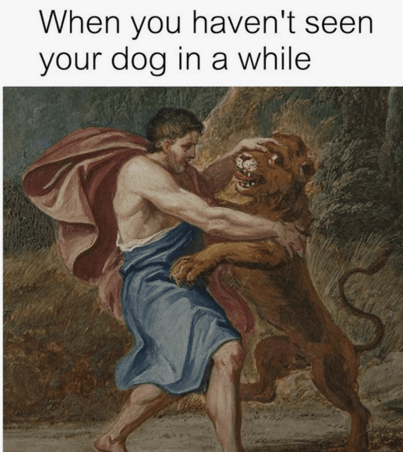 25 Memes About Man's Best Friend All Dog Owners Can Relate To