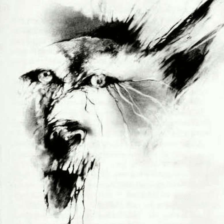 24 Scariest Scary Stories To Tell In The Dark Illustrations