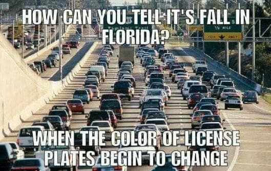 The 20 Best Florida Memes On The Internet