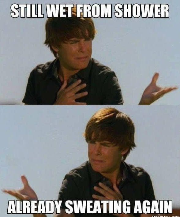 The 20 Best Florida Memes On The Internet