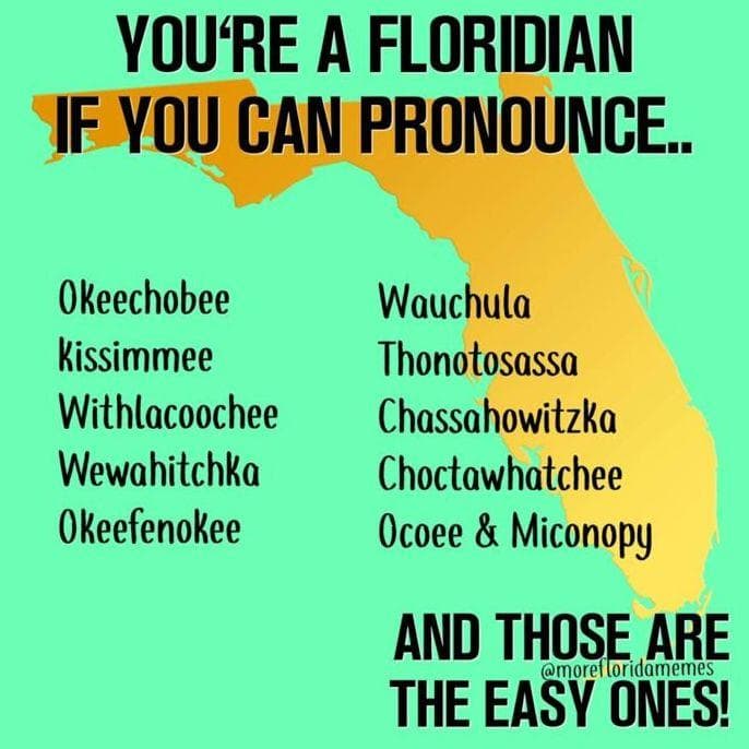 The 20 Best Florida Memes On The Internet