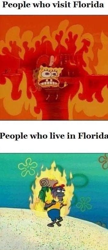 The 20 Best Florida Memes On The Internet