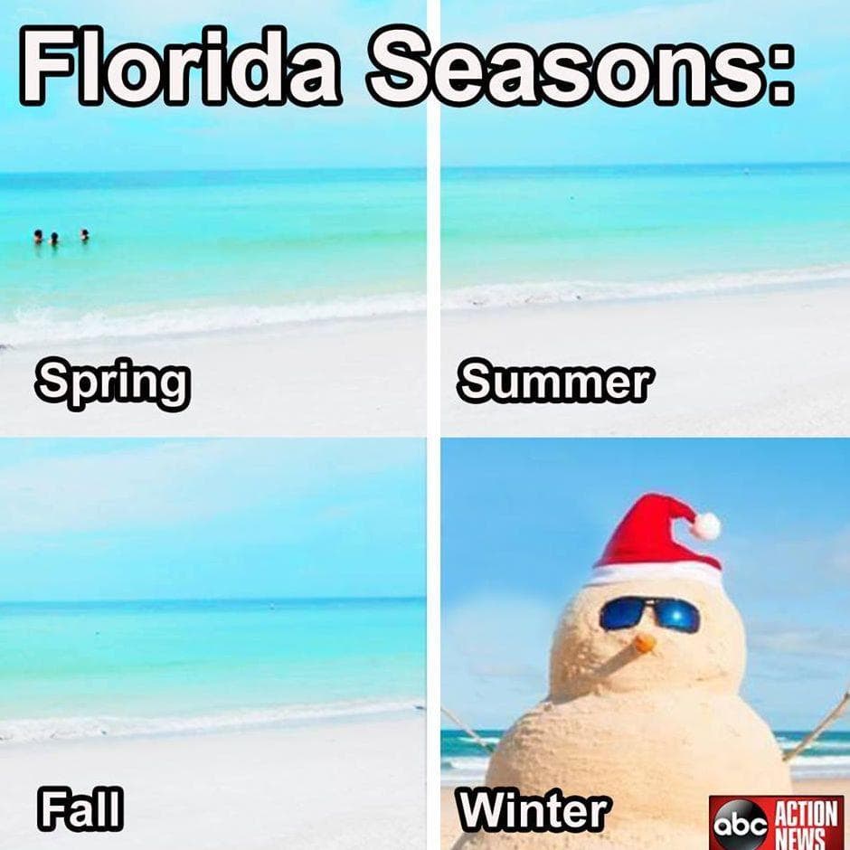 The 20 Best Florida Memes On The Internet