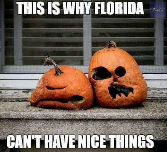 The 20 Best Florida Memes On The Internet