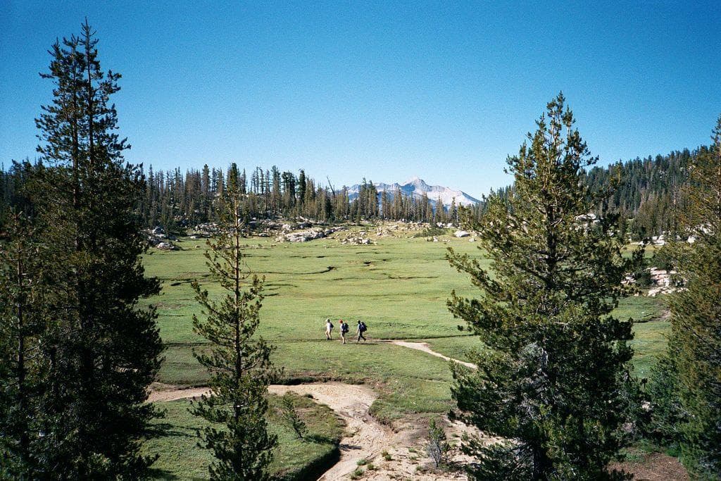 Stacy Ann Arras Yosemite Theories: What Really Happened On July 17, 1981