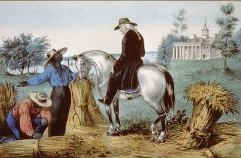 What It Was Like For George Washington's Slaves At Mount Vernon