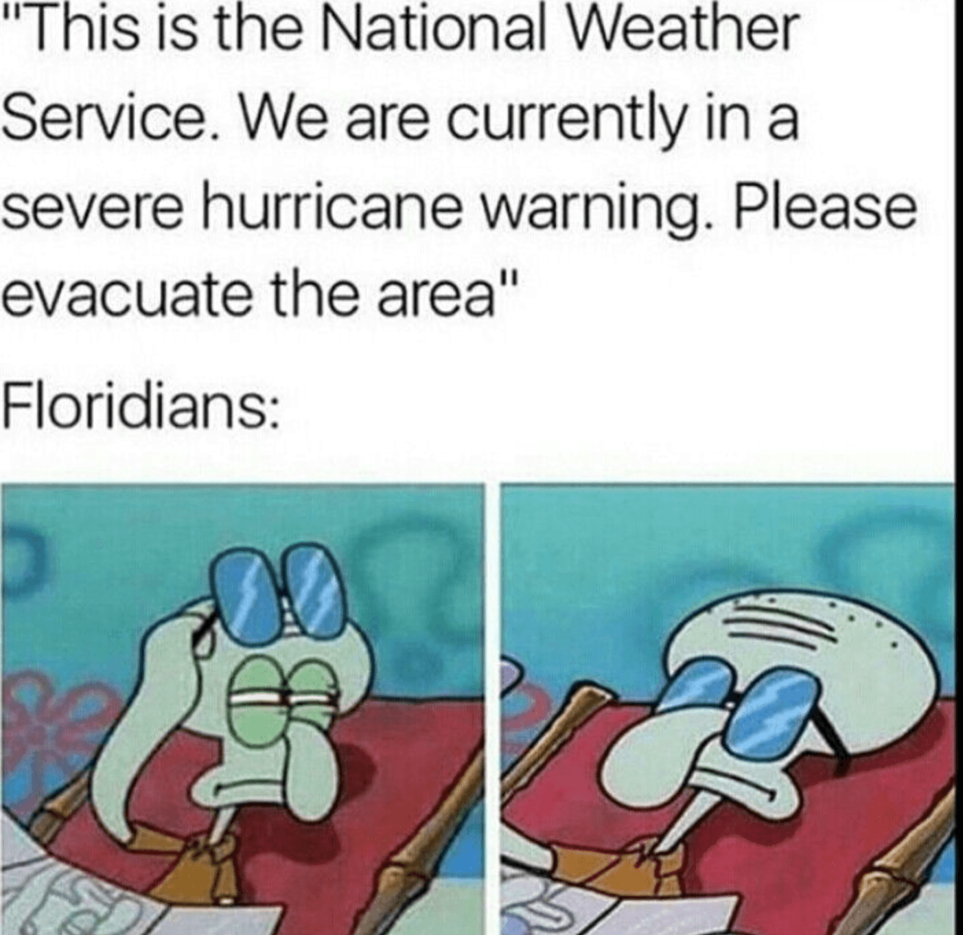 The 20 Best Florida Memes On The Internet