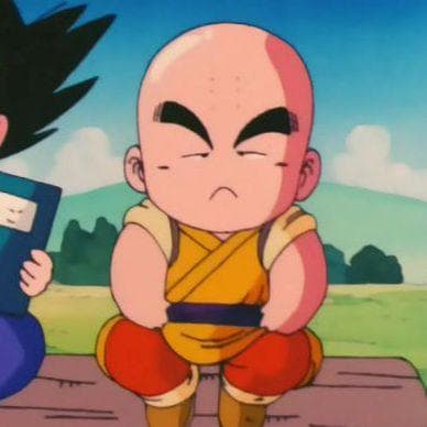 The Best Krillin Quotes of All Time (With Images)
