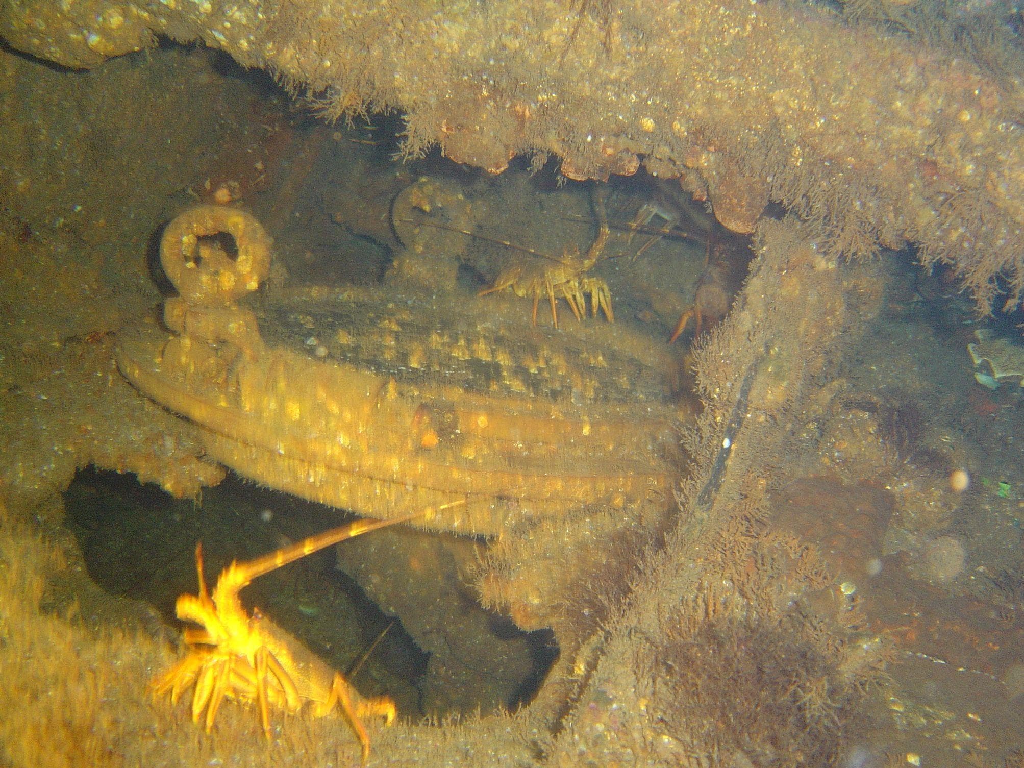 Sinking Of The RMS Lusitania: A Wreck You Can Visit Today