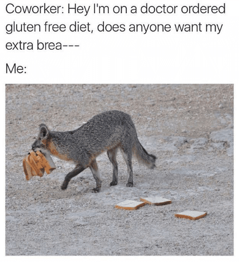 The 23 Funniest Memes About Gluten-Free Diets