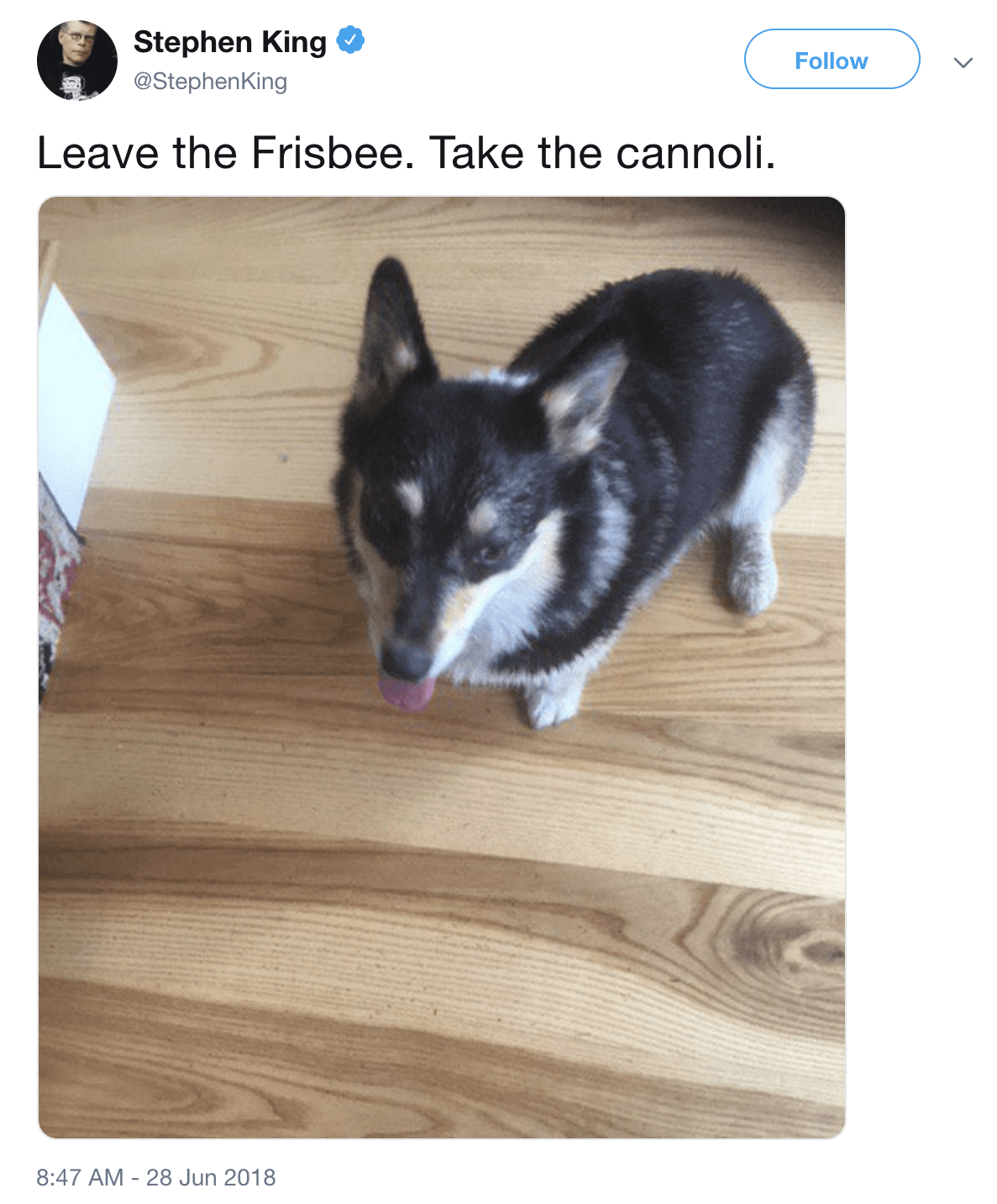 22 Stephen King Tweets About His Corgi Molly