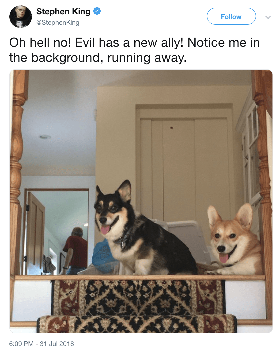 22 Stephen King Tweets About His Corgi Molly