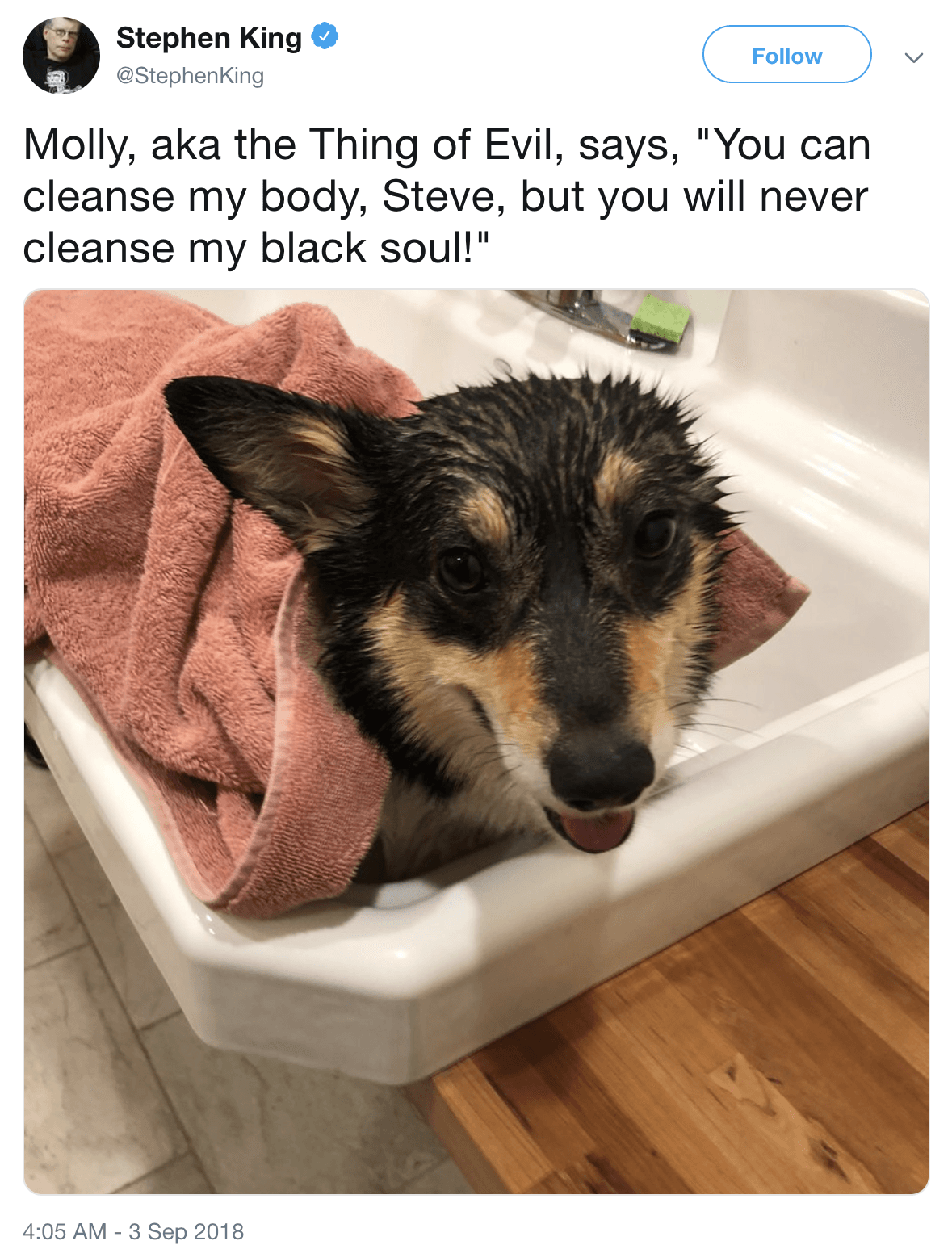 22 Stephen King Tweets About His Corgi Molly