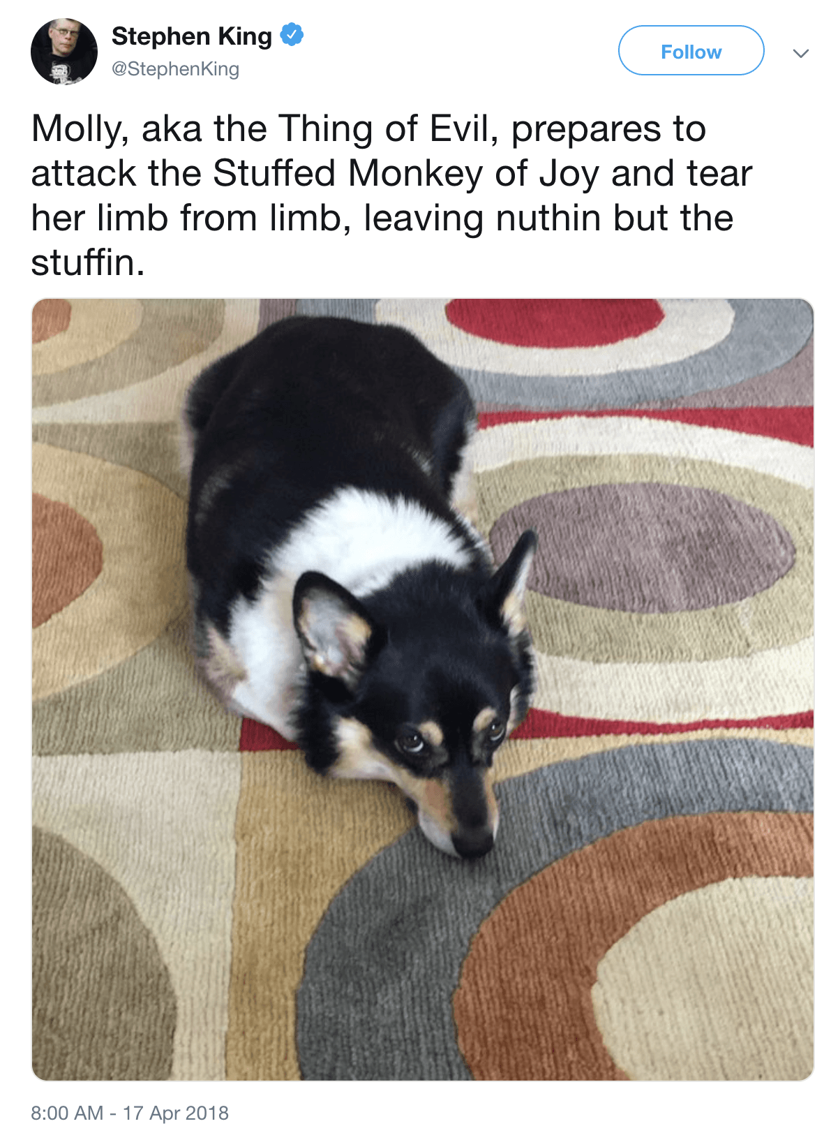 22 Stephen King Tweets About His Corgi Molly