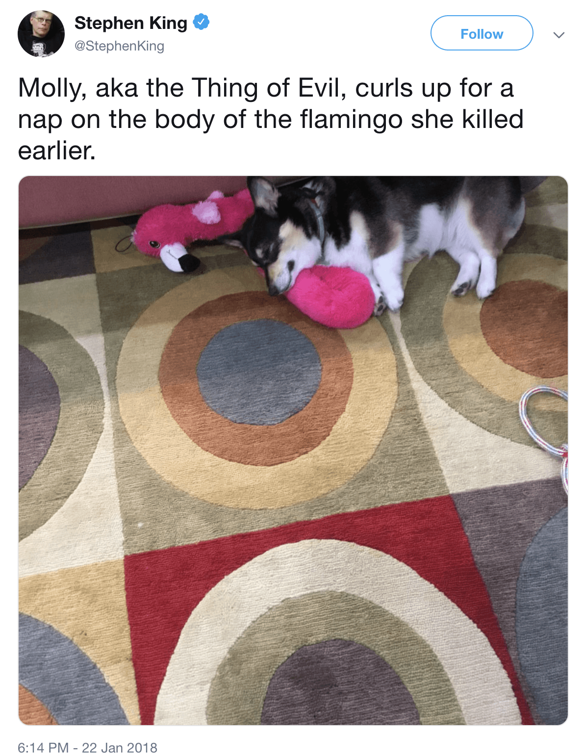 22 Stephen King Tweets About His Corgi Molly