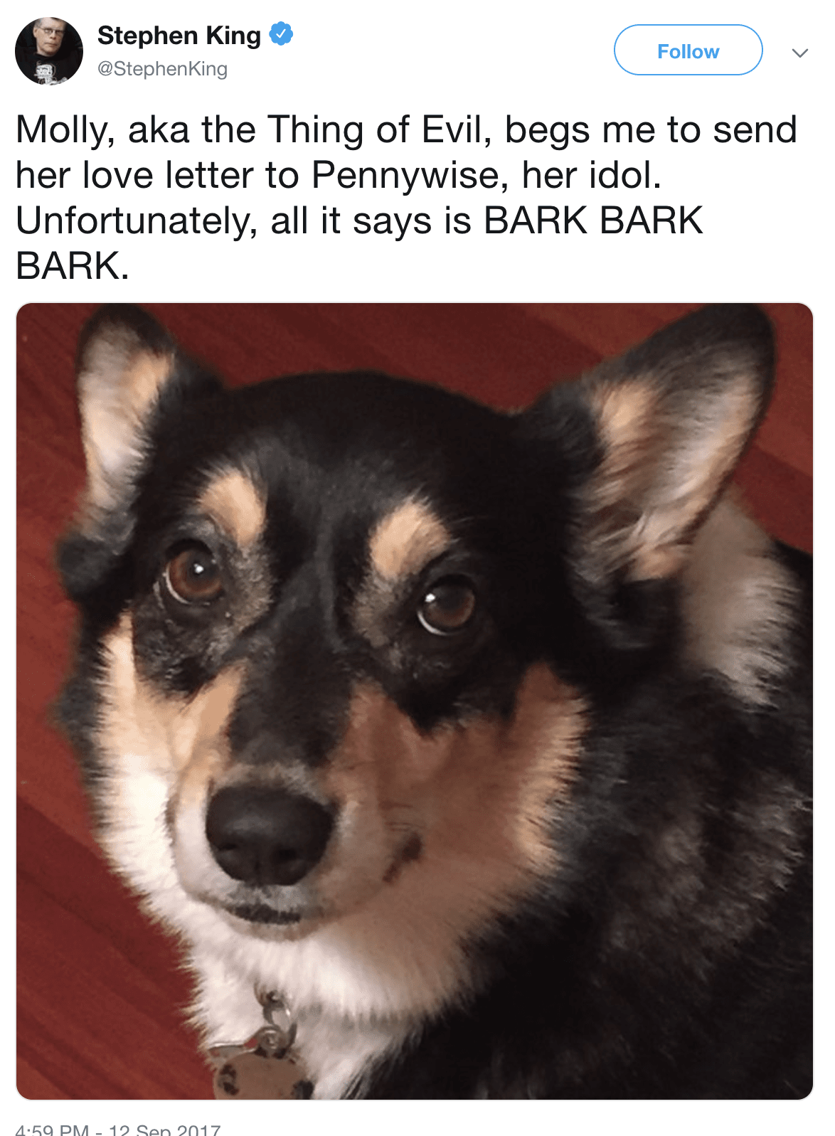 22 Stephen King Tweets About His Corgi Molly