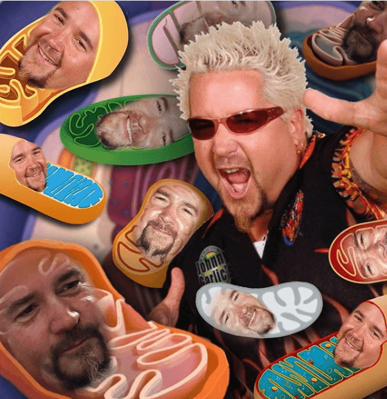 21 Hilarious Guy Fieri Memes Guaranteed To Take You Straight To Flavortown