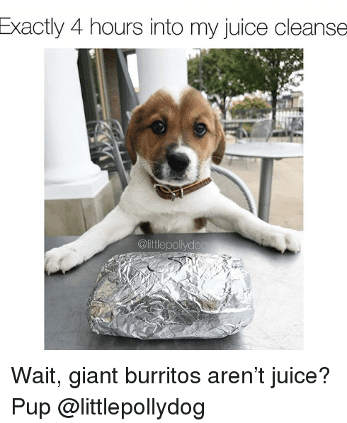 The Best Memes About Juice Cleanses