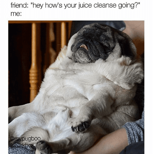 The Best Memes About Juice Cleanses