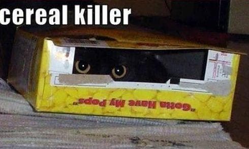 19 Serial Killer Memes You Probably Shouldn't Laugh At