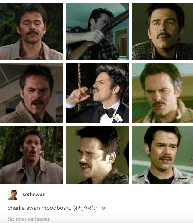 21 Hilarious "Twilight Renaissance" Memes