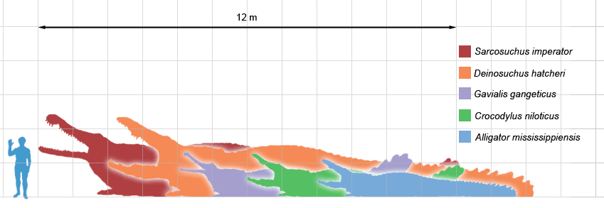 Frightening Facts About Razanandrongobe Sakalavae, The Largest ...