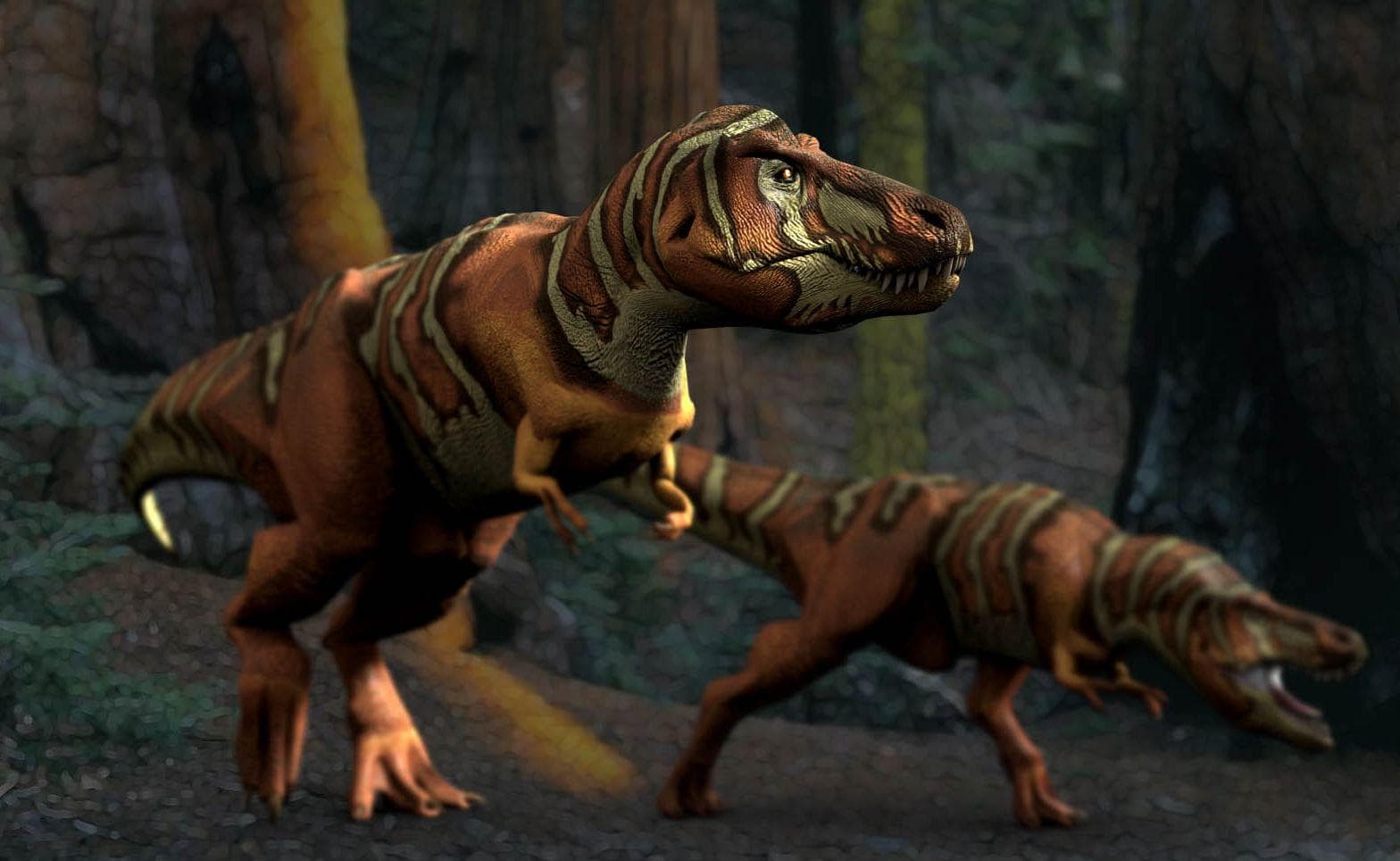 Frightening Facts About Razanandrongobe Sakalavae, The Largest ...