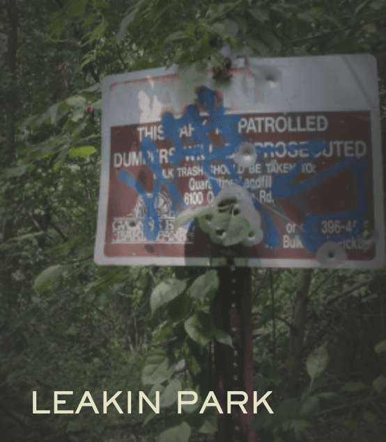 The Best 'Serial' Podcast Episodes, Ranked