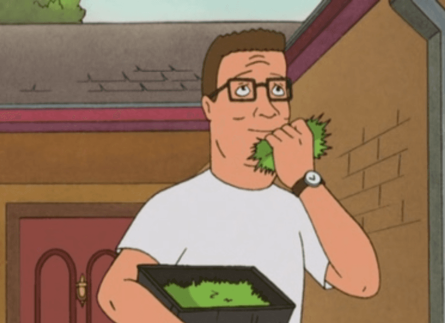 18 Times 'King Of The Hill' Made A Really Good Point