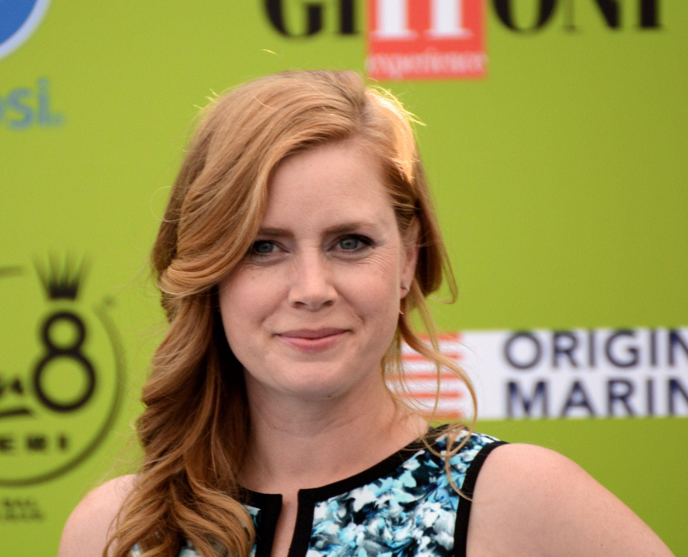Things You Didn't Know About Amy Adams