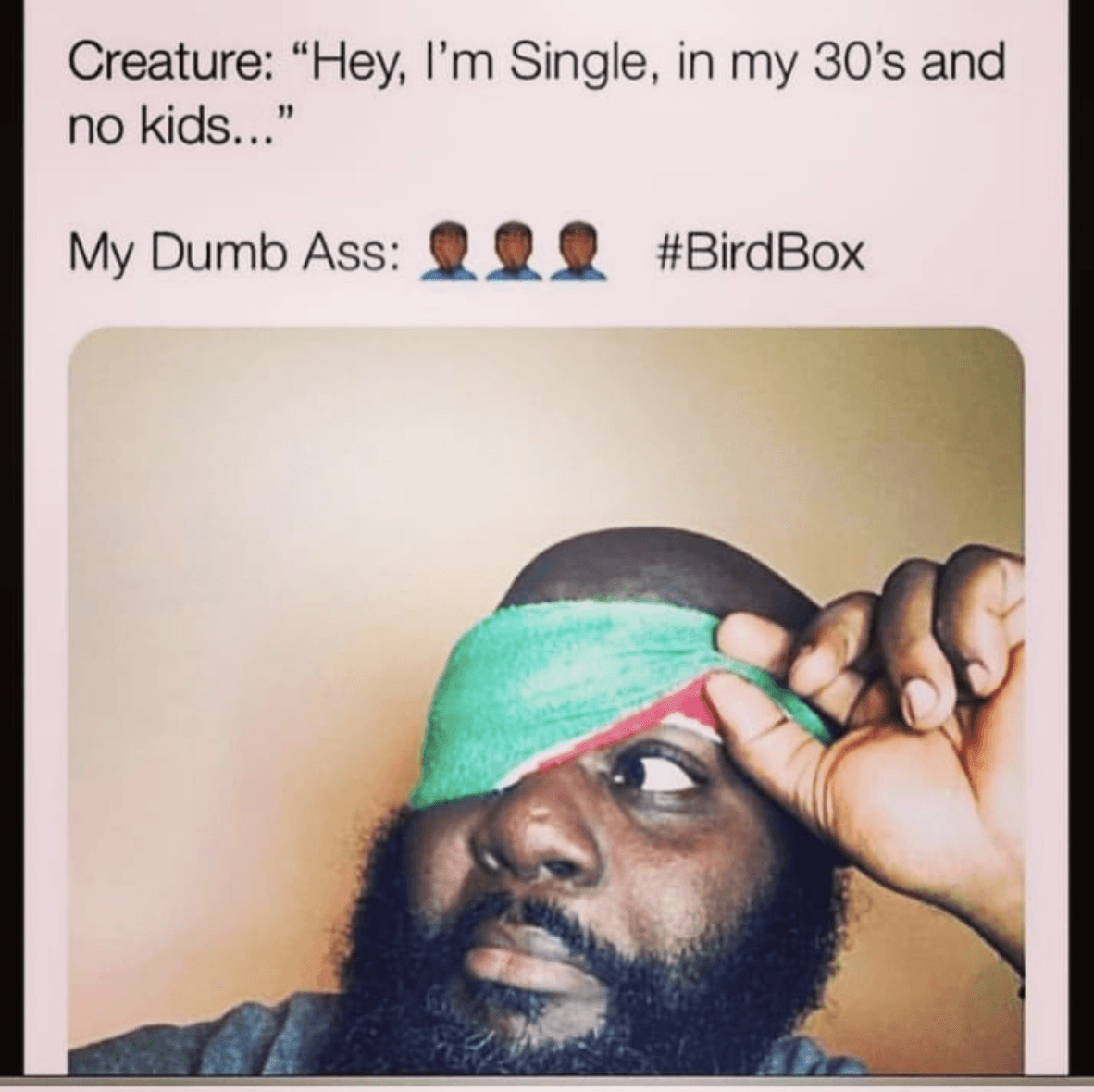 The New Netflix Horror Film 'Bird Box' Isn't Bad - But The Memes Are ...