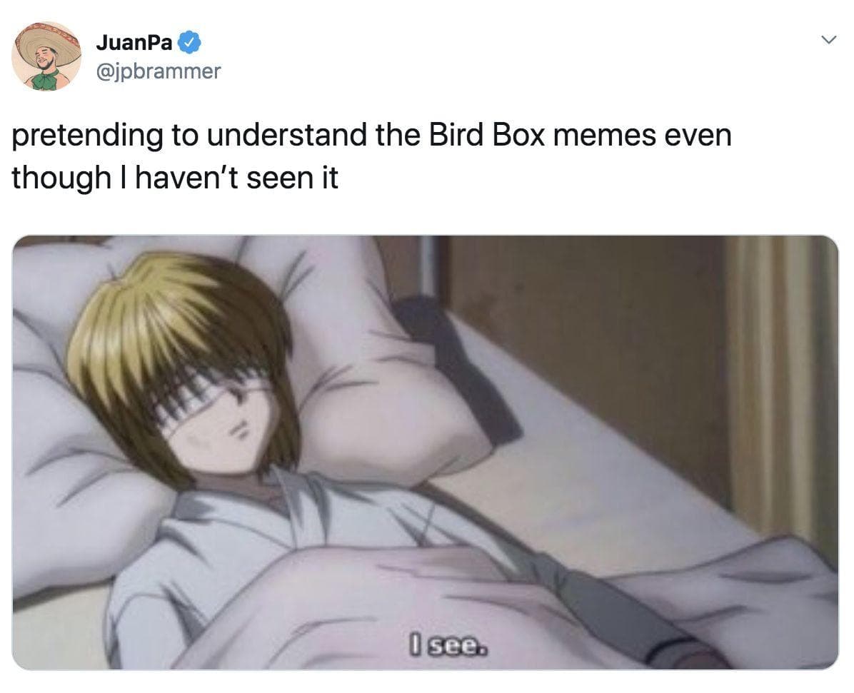 The New Netflix Horror Film 'Bird Box' Isn't Bad - But The Memes Are ...