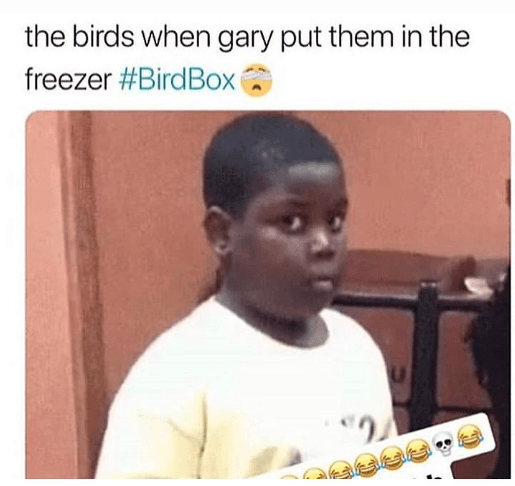 The New Netflix Horror Film 'Bird Box' Isn't Bad - But The Memes Are ...