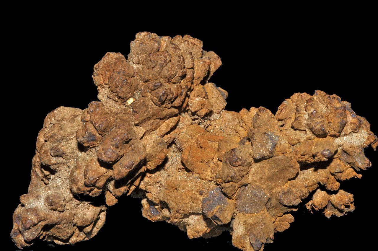 Mind-Blowing Facts About Dinosaurs That Will Make You Question Everything