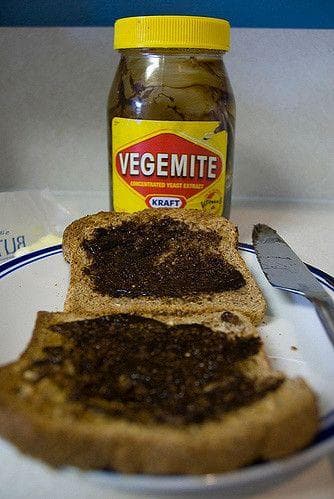 The Strangest Things You Can Eat At The Disgusting Foods Museum