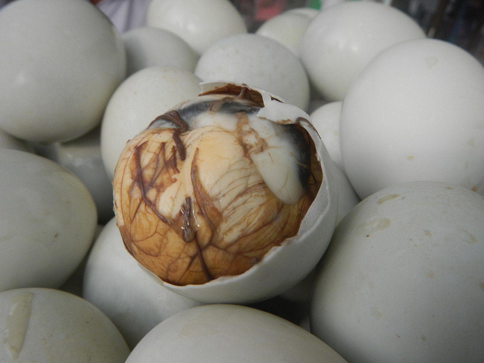 The Strangest Things You Can Eat At The Disgusting Foods Museum