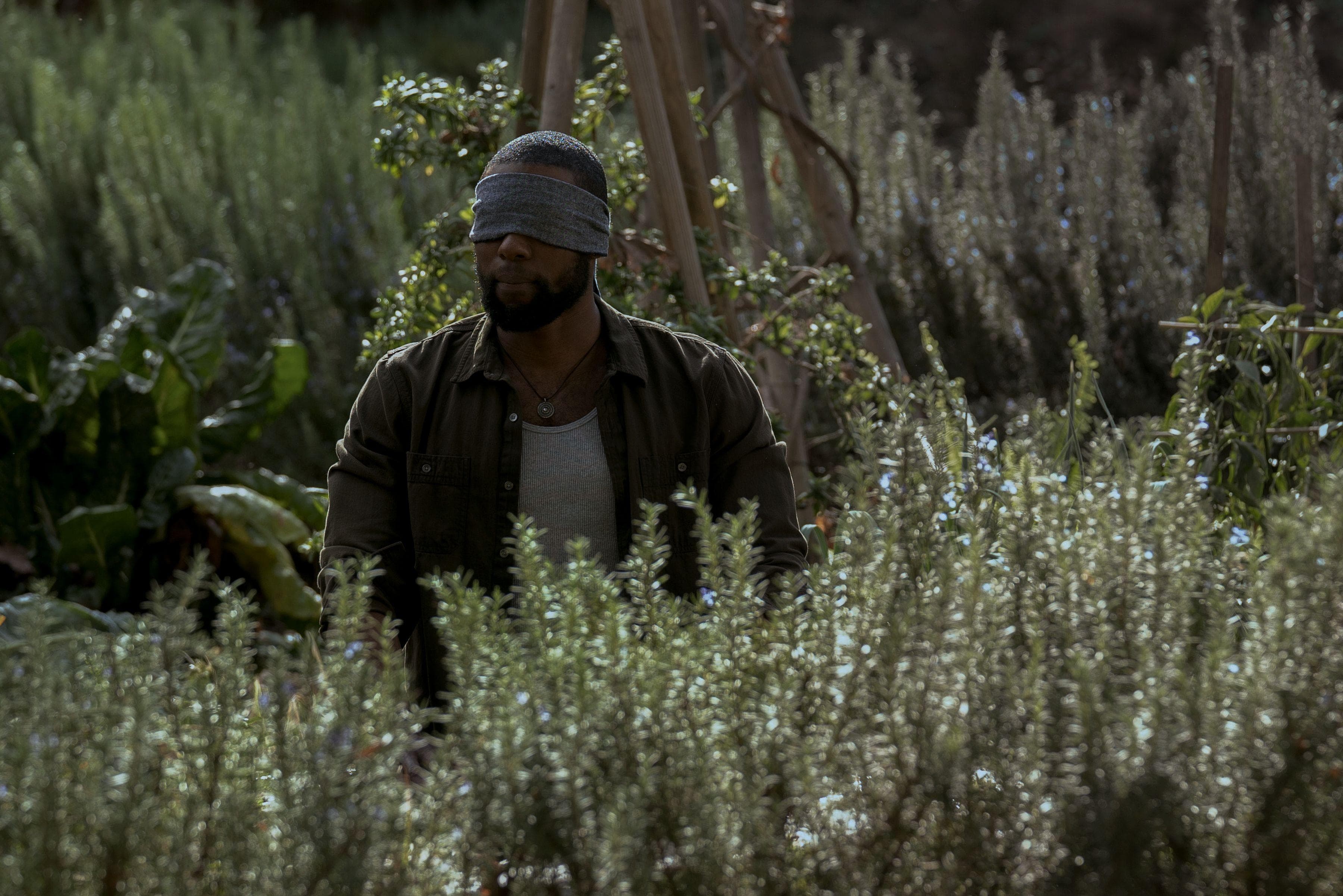 Bird Box Behind The Scenes
