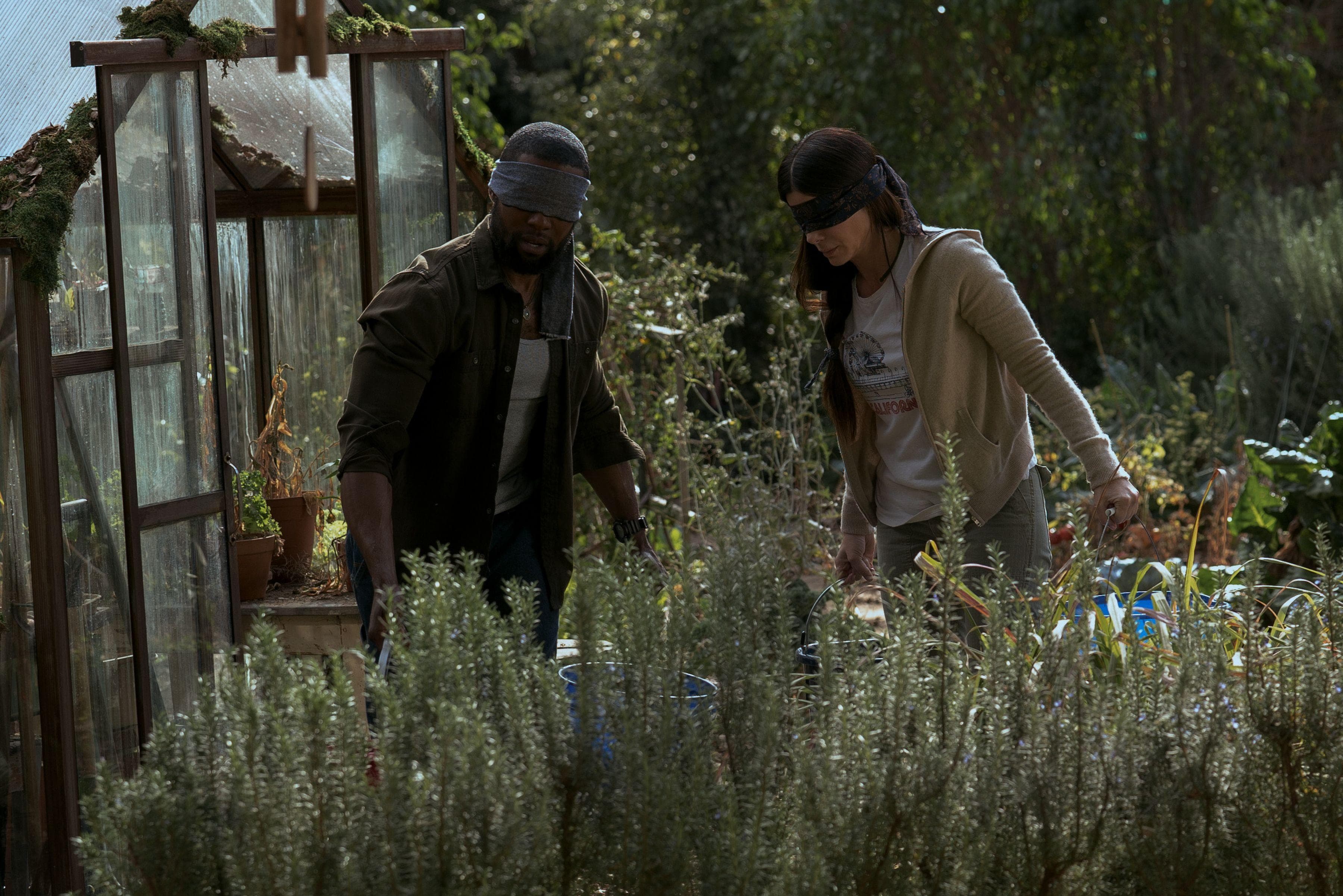 Bird Box Behind The Scenes