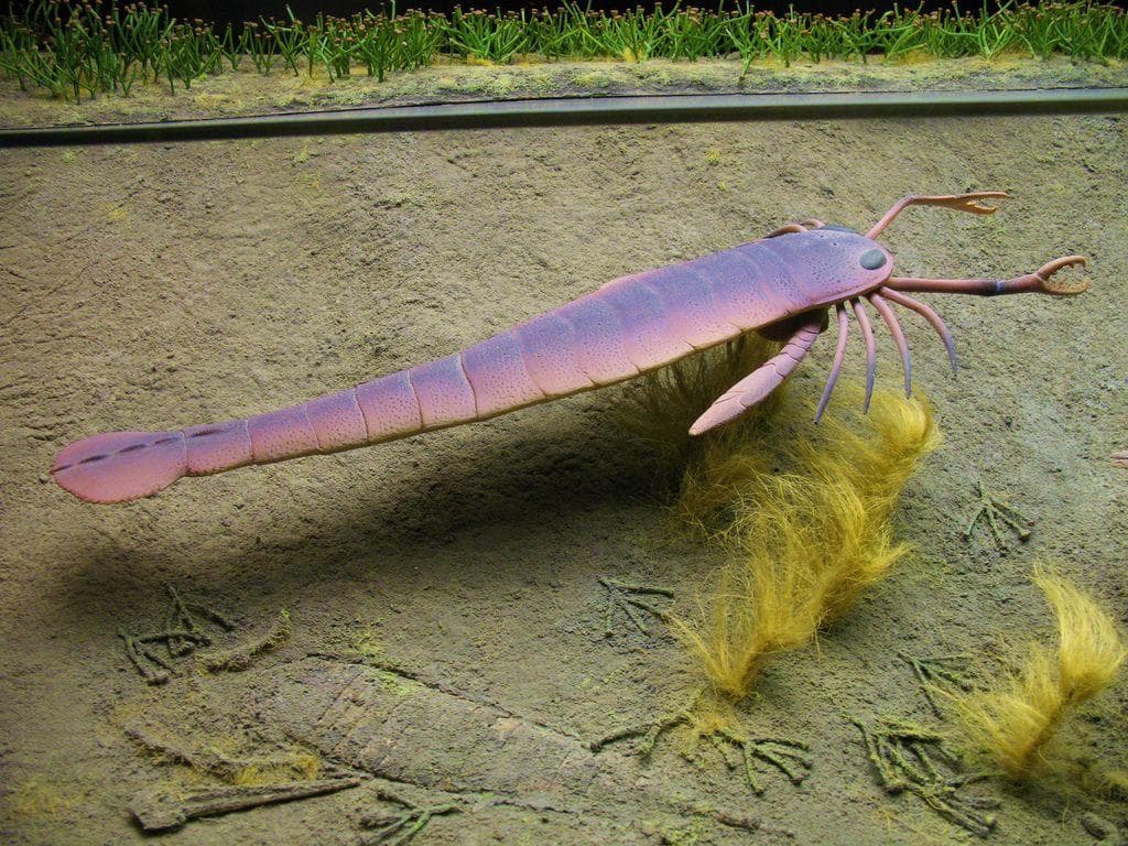 Meet Eurypterids, Giant Prehistoric Sea Scorpions