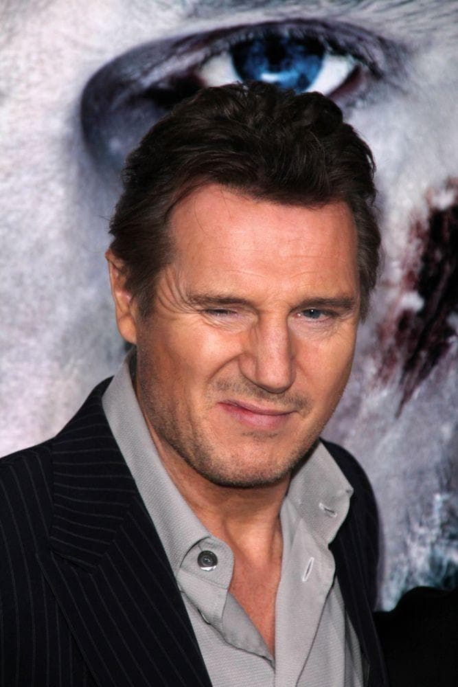 Facts About Liam Neeson That Prove He’s Just As Intense As The ...